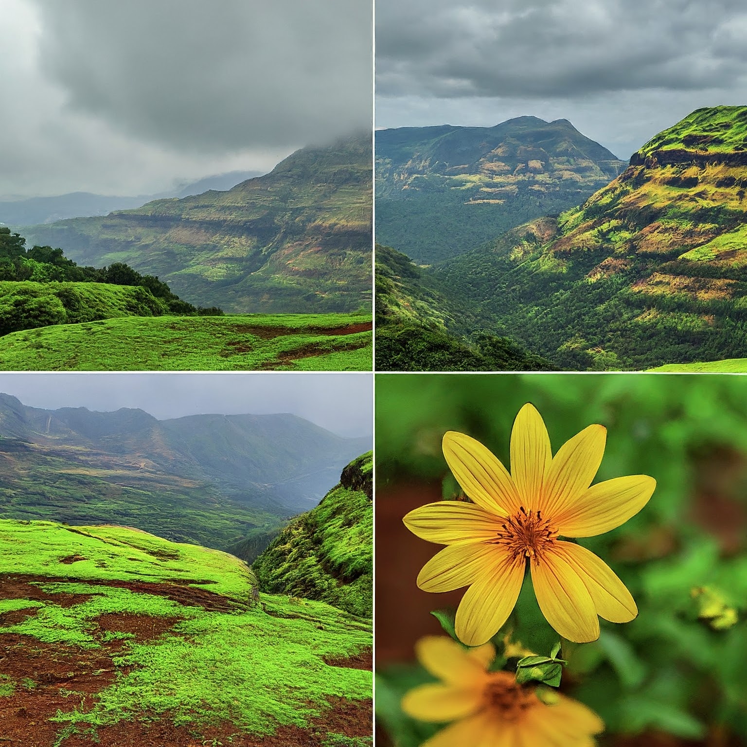 Top 10 Monsoon places in Maharashtra: A Complete Travel Guide from ...